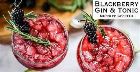 Blackberry Gin And Tonic Recipe Muddled Cocktail Renee Nicoles Kitchen