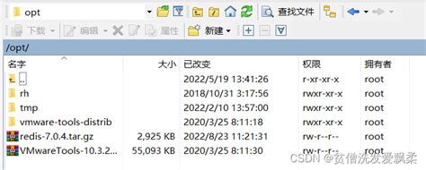 redis入门笔记（一）：redis在linux下安装和八大数据类型 redis stack和redis区别 csdn博客