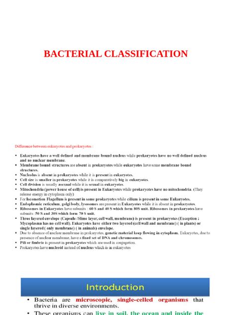 Bacterial Classification Pdf
