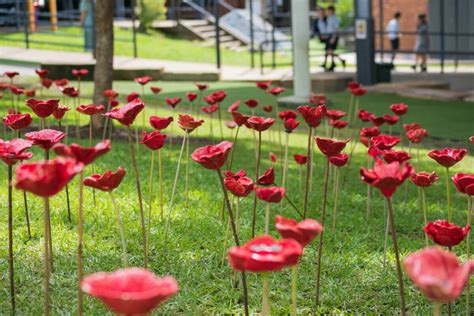Anzac Day Redlands College