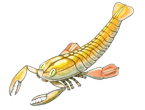 Jaekelopterus By Zap123build On Deviantart