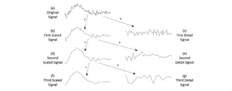 Schematic Illustration Of Multiscale Wavelet Based Representation Of