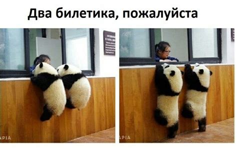 Эти забавные животные №2610001584 Фотострана Cайт знакомств