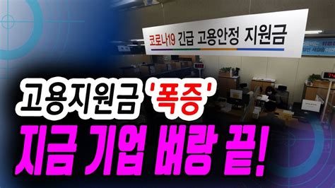 정완진tv 고용지원금 폭증 지금 기업 벼랑 끝~~ 멋진아재tv Youtube