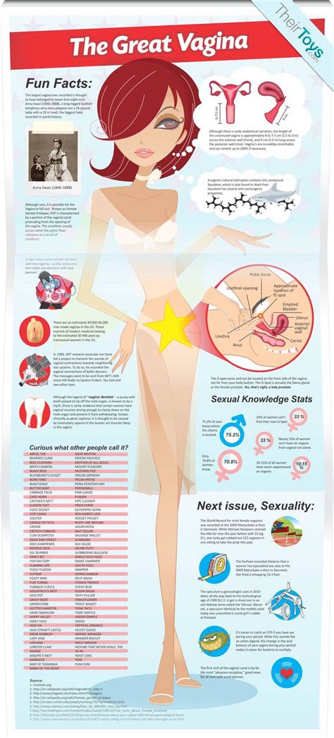 235 Best Images About Sexual Anatomy On Pinterest Endocrine System Reproductive System And