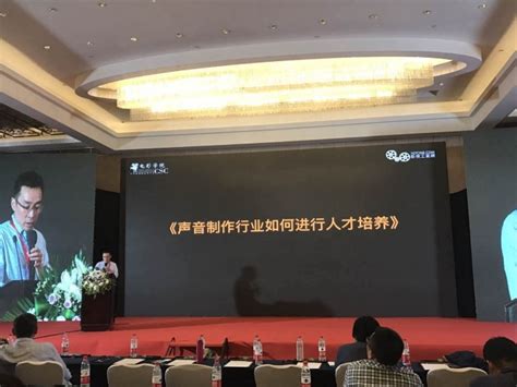 影视工业网2017先进影像大会 王丹戎声制作行业如何进行人才培养 王丹戎 中国内地电影录音师 代表作天下无贼流浪