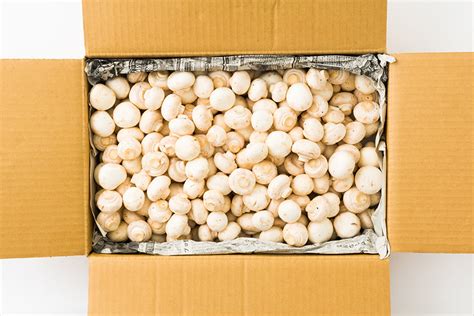 《訳あり》舟形マッシュルームバラ詰約25kg ホワイト
