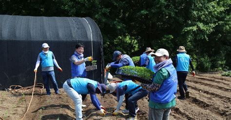 상지엔지니어링건축사사무소 임직원 의령서 봉사