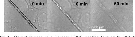 Figure 1 From Dual Water Healable Zwitterionic Polymer Coatings For