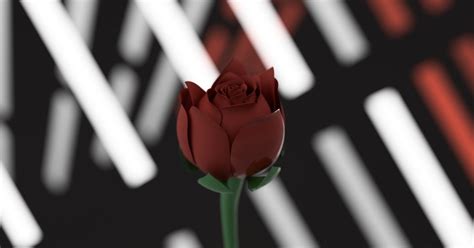 Red Rose Autodesk Community Gallery