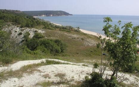 Кара дере