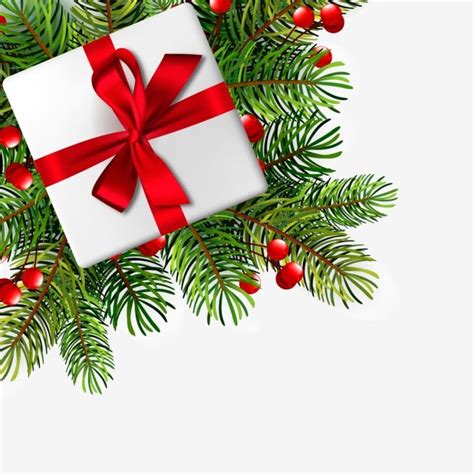 현실적인 전나무 가지 벡터 일러스트와 함께 크리스마스 일러스트 크리스마스 선물 크리스마스 휴일 Png 일러스트 및 벡터