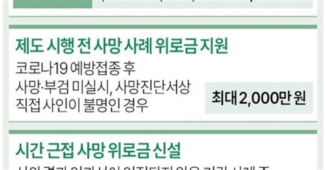 그래픽 코로나19 백신 피해보상 당정 협의 내용