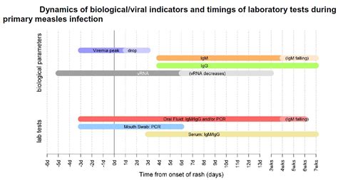 Investigations Primary Care Notebook