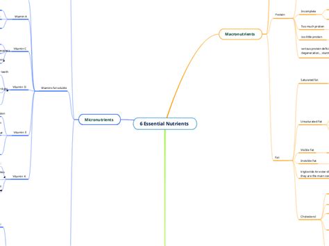 6 Essential Nutrients Mind Map