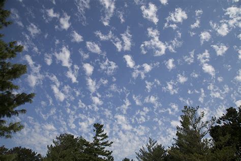 Altocumulus — Weather Briefing Lc