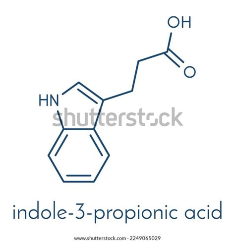 Indole3propionic Acid Ipa Molecule Skeletal Formula Stock Vector