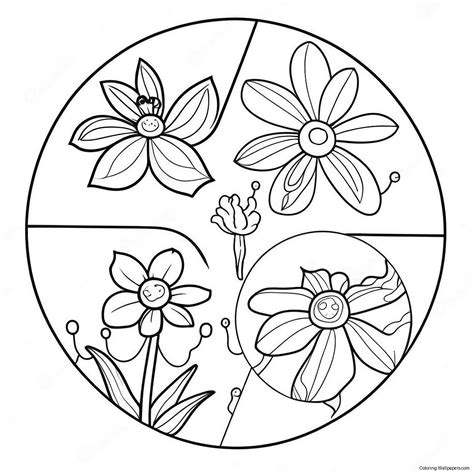 Plant Life Cycle Coloring Page 62283 49271