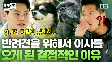 고독한훈련사 반려인이 이 동네를 선택한 결정적인 이유 다른 동네는 OO견 은 들어올 수 없다는 차별도 있었다는데