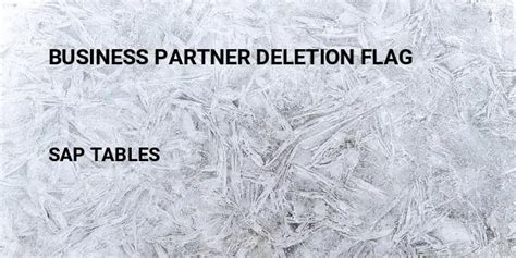 Business Partner Deletion Flag Table In Sap