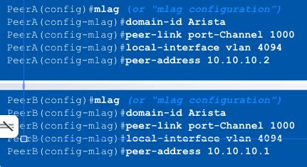 MLAG Basics Test And Flashcards