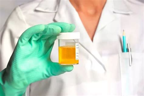 Men Should Pee Sitting Down To Avoid Prostate Linked Health Issues Top