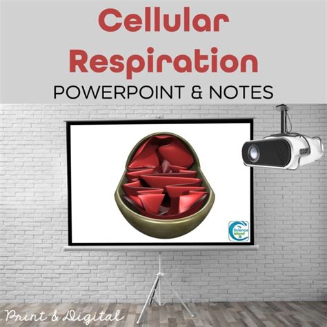 Free Printable Codon Chart With Practice Worksheet And Diagrams Science Island