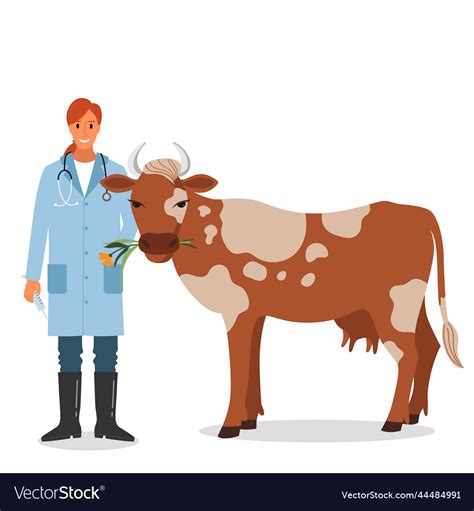 Cow And Veterinarian Isolated Royalty Free Vector Image
