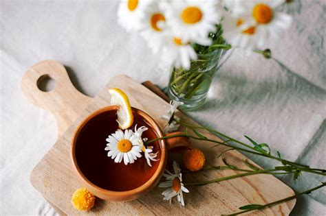 10 Stress Reducing Superfoods To Add To Your Diet Fiton