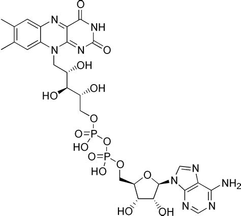 Nucleic Acids
