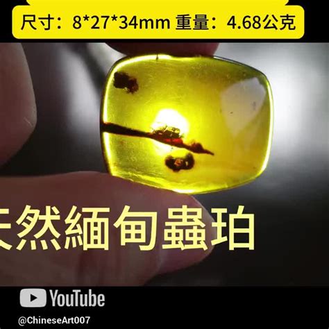 天然緬甸琥珀 蟲珀 4 68克 Amber 金珀 原石 琥珀 白堊紀 時空膠 山奇藝術吊飾人氣榜 Pinkoi