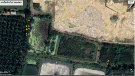 Map Of 5 Points Of Termite Nests And Guts Download Scientific Diagram