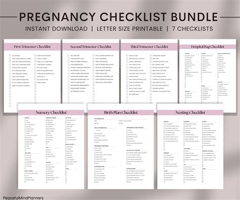 Pregnancy Checklist Bundle Printable Pregnancy Planner Pregnancy To