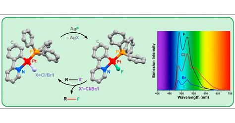A Cn Cycloplatinatedii Fluoride Complex Photophysical Studies And