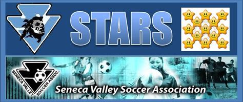 Svsa Stars Soccer Team