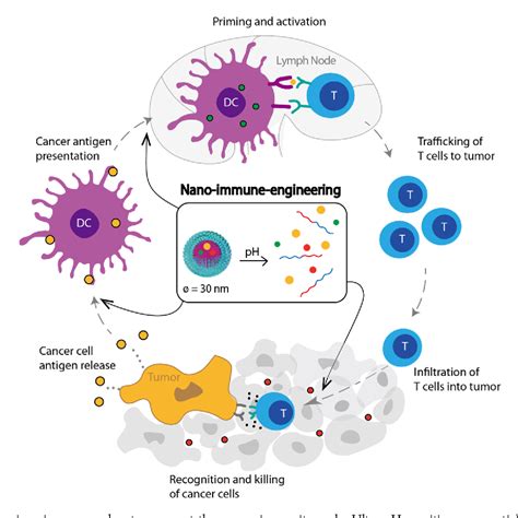 Figure 1 From Nano Immune Engineering Approaches To Advance Cancer