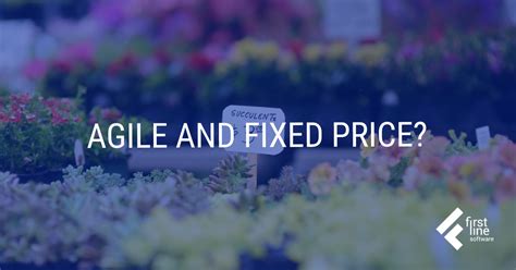 Agile And Fixed Price First Line Software