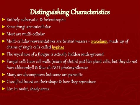 Fungi Distinguishing Characteristics Entirely Eukaryotic Heterotrophic
