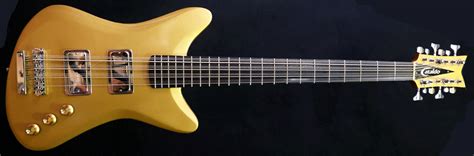 Custom 12 String Basses — 12 String Bass Encyclopedia