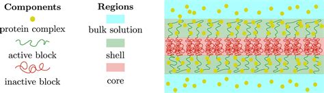 Figures And Data In Regulation Of Chromatin Microphase Separation By Binding Of Protein