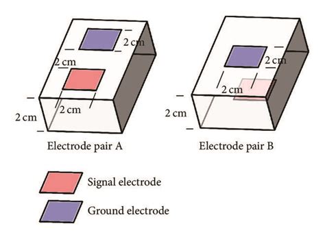 Example Of Capacitive Electrodes [10] Signal And Ground Electrodes Are