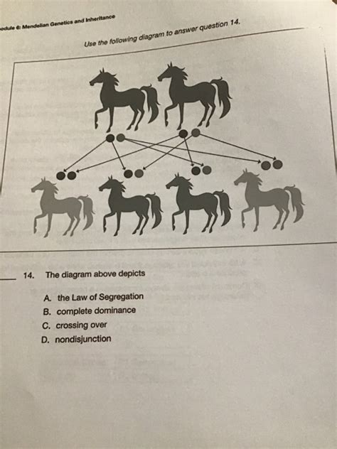 solved odule and mendelian genetics and inheritance use the