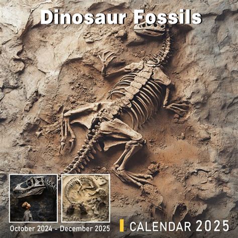 Dinosaur Fossils Discovery 2025 Ancient Relics Unearthed Desertcart India