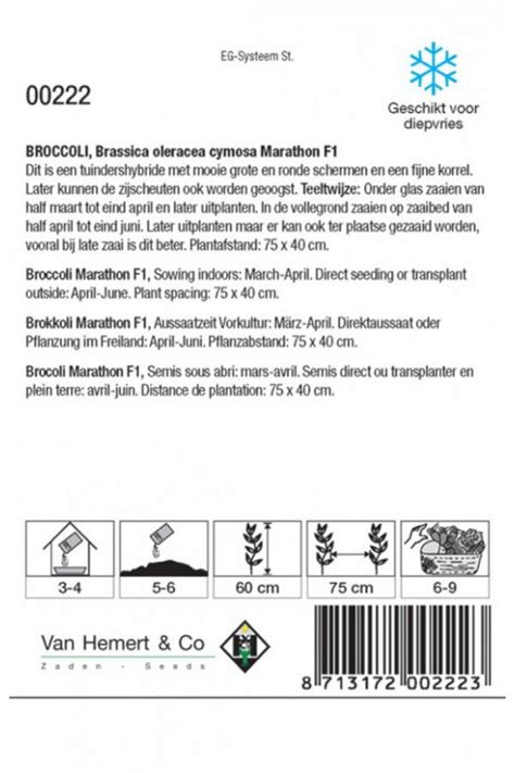 Marathon F1 Broccoli Seeds Calabrese Seeds • Tuinzadeneu
