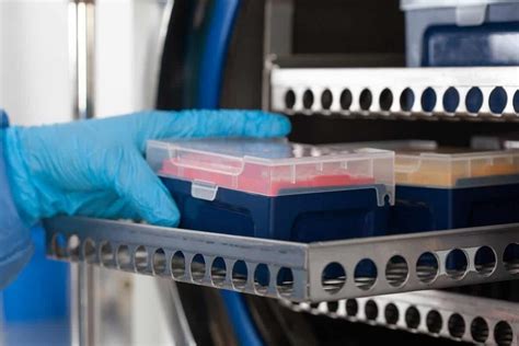 Autoclave Architecture Quiz Assessment