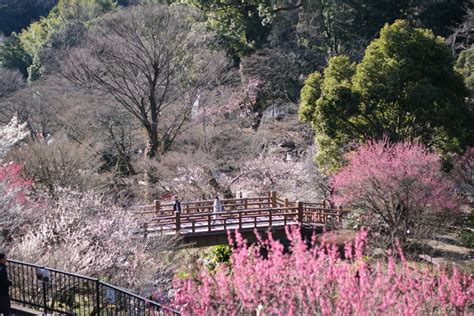 By Noripin Id Photohito