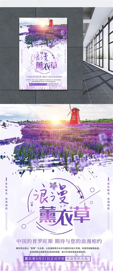 墨迹风浪漫薰衣草海报模板素材 正版图片401042646 摄图网