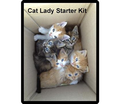 Crazy Cat Lady Starter Kit