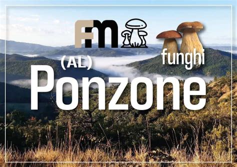 Ponzone Funghi Magazine