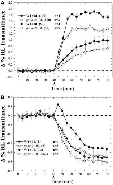 Chloroplast Movement Response In Pp2a 2 Mutant Leaf Cells Induced By Download Scientific